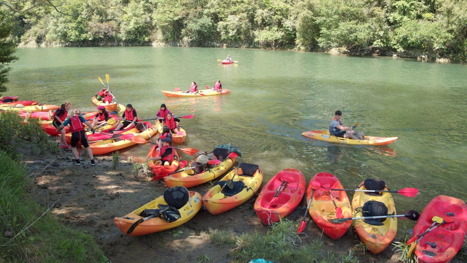 School Activities: Learning Through Nature and Experience with Begi ...